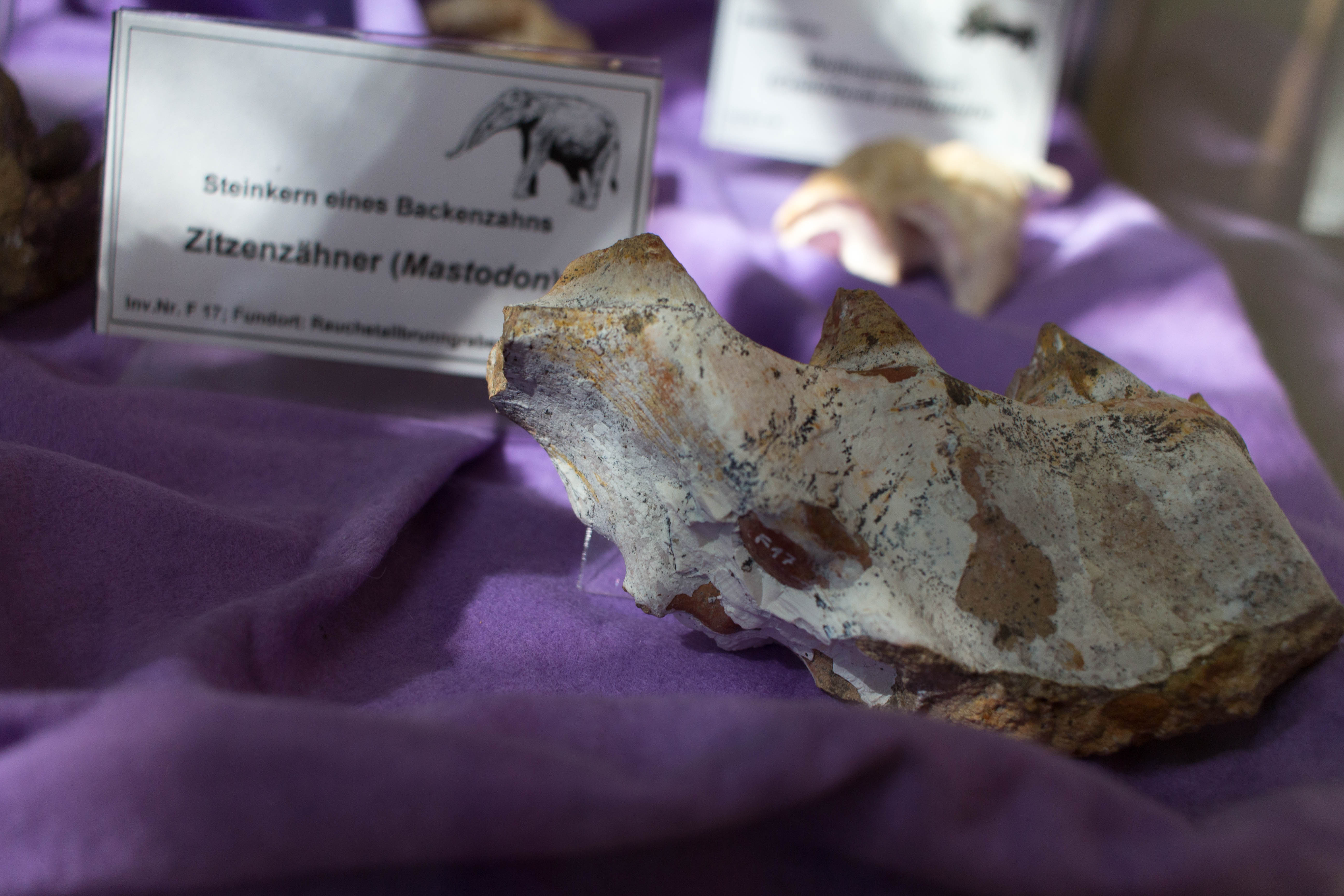 Rollett_groß-13 • Rollettmuseum Baden